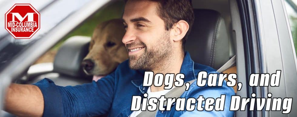 Buckle Up Your Furry Friend: Avoiding Dog-Related Driving Distractions